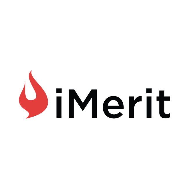 AI Data Annotation & Model Fine-Tuning Solutions | iMerit