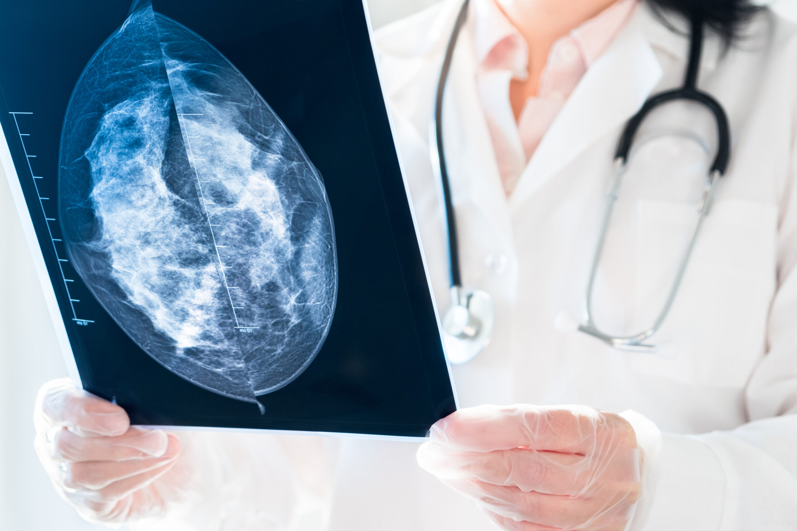 Best Medical Imaging Annotation Tools 2025